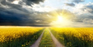 Creating Your Own Life Path - Positively Positive Positively Positive