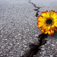 Resistance is Perfectly Beautiful - Positively Positive Positively Positive