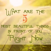 The 5 Most Beautiful Things Project - Positively Positive Positively ...