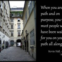 Kevin Hall, Author at Positively Positive Positively Positive