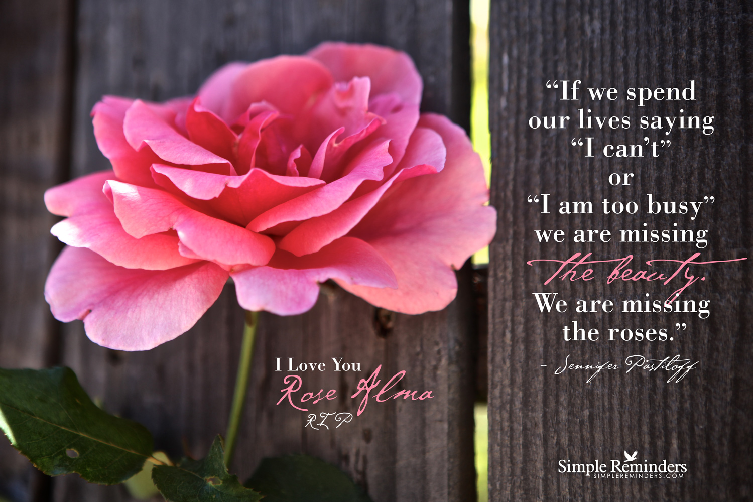 Stop Making Excuses & Other Lessons from Rose. RIP Rose Alma ...