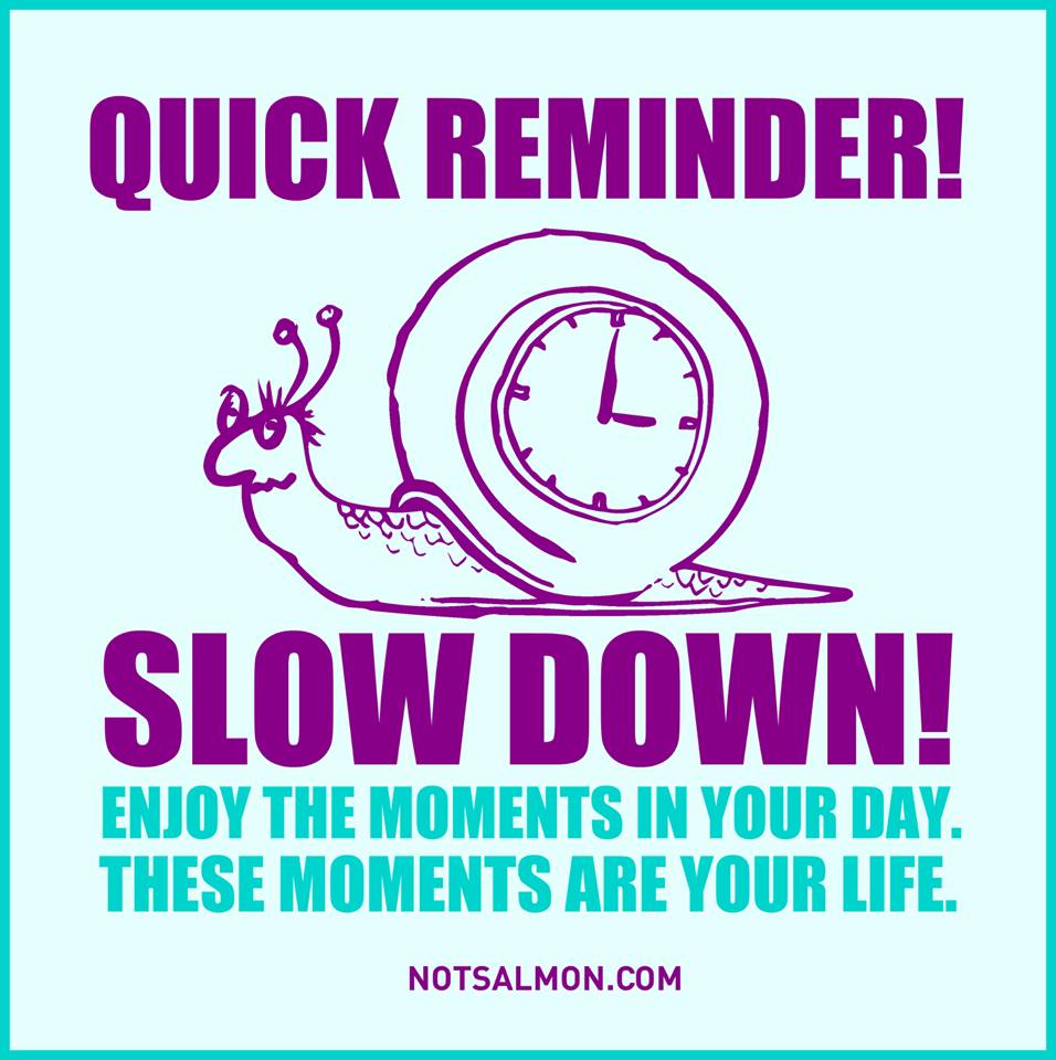 Life Moves Pretty Fast Sometimes. If You Don’t Stop & Look Around Once ...