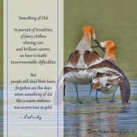 Dodinsky, Author at Positively Positive Positively Positive