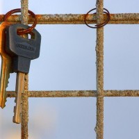 Lost Your Keys Again? 8 Tips for Finding Misplaced Objects - Positively ...