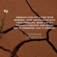 Watch Your Language! - Positively Positive Positively Positive