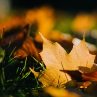 FALL CHALLENGE - SETTING LIFE GOALS: Redefine Your Time and Redesign ...