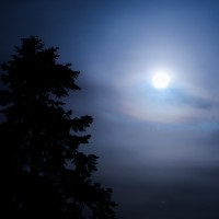 Full Moon Shift Happens - Positively Positive Positively Positive