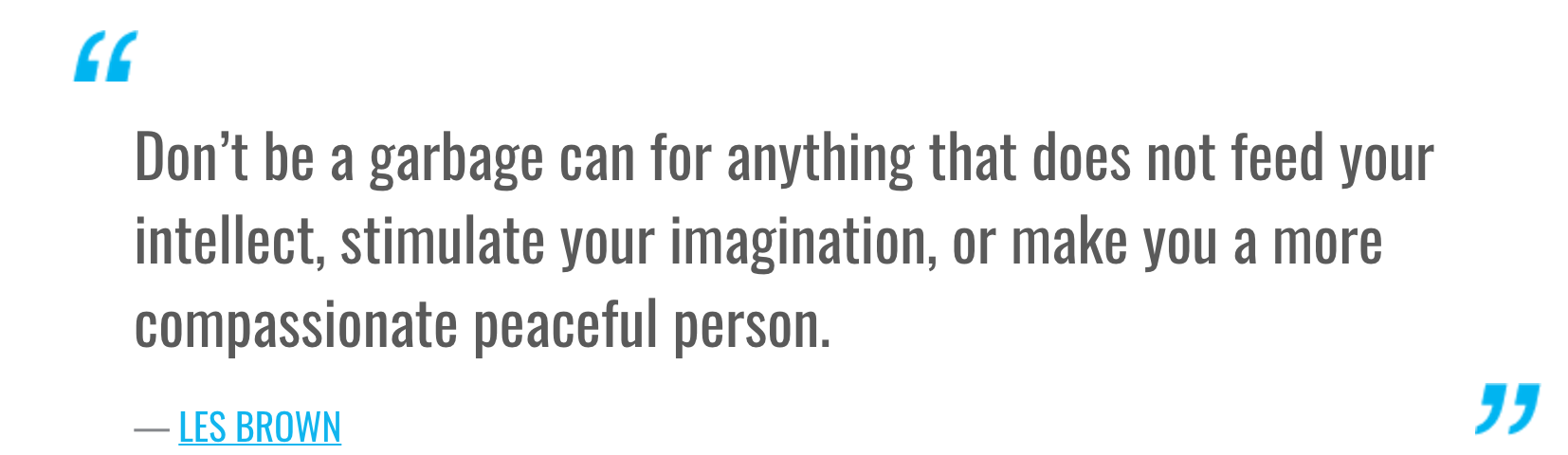 Don't be a garbage can for anything that does not feed your intellect ...