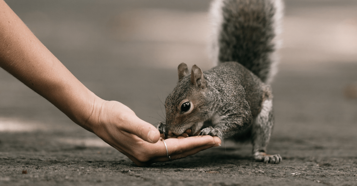 Loving Archives - Page 4 of 109 - Positively Positive Positively Positive